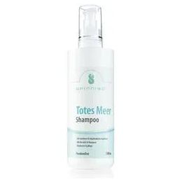 Totes Meer Shampoo 500 ML