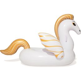 Vedes Pegasus