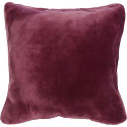 G&ouml;zze Dekokissen &raquo;Premium Cashmere-Feeling Kissen&laquo; 50x50cm,passend zur Premium Cashmere-Feeling Decke,Kissenh&uuml;lle&F&uuml;llung lila Polyester