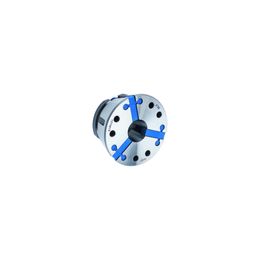 R&ouml;hm R&Ouml;HM Spannzange GTG 42 D6,0 CAPTIS GLATT L42 (1273187)