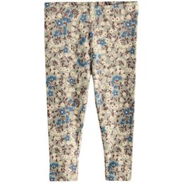 next Leggings M&auml;dchen Gr&ouml;&szlig;e 68 champagner / blau / dunkelbraun / schilf