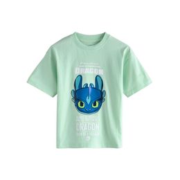 next T-Shirt 'How To Train Your Dragon' Jungen Gr&ouml;&szlig;e 146 blau / royalblau / mint / wei&szlig;