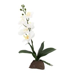 LUCKY REPTILE Orchidee klein wei&szlig; 35 cm