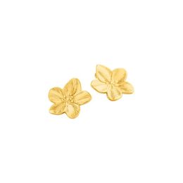 TIMI OF SWEDEN Ohrringe Maebry in Gold | Gr.: onesize