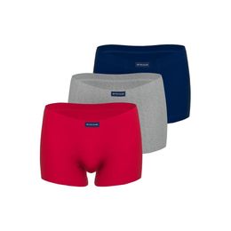 Tom Tailor Hip Pants 3Er Pack Colorado in melange-red-navy | Gr.: XL