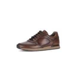 Gabor Sneaker low in braun | Gr.: 44,5