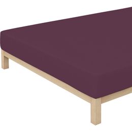 Spannbettlaken Schlafgut, lila, Mako-Zwirn-Jersey, Obermaterial: 95% Baumwolle, 5% Elasthan, Bettlaken, "Premium", Zero Waste Verpackung, PREMIUM