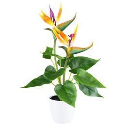 Kunstpflanze Creativ green, H:42cm, orange, Kunststoff, Kunstpflanzen, "Strelitzia", mit 2 Bl&uuml;ten