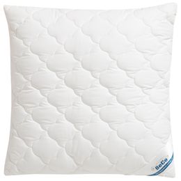 Kopfkissen Beco "EcoWell", beige (natur), B:80cm L:80cm, Obermaterial: 100% Baumwolle, Kopfkissen, Kissen in den Größen 40x80 cm und 80x80 cm erhältlich