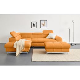 Ecksofa COTTA "Chef L-Form", orange (amber), B:257cm H:72cm T:206cm, Luxus-Microfaser (100% Polyester);Kunstleder Softlux;Leder Advantage (abgedecktes Spalt-Rindsleder), R&uuml;ckseite mit schwarzem Spannstoff bezogen;NaturLEDER (echtes Rindsleder), R&uuml;ckseite mit schwarzem Spannstoff bezogen, Sofas, Ecksofa, mit Kopfteilverstellung, edle Metallkufen, wahlweise mit Bettfunktion