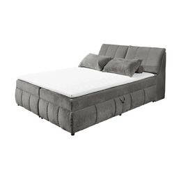 M&ouml;bel Kraft Boxbett grau Ma&szlig;e (cm): B: 183 H: 105 T: 235.0 &raquo; M&ouml;bel Kraft