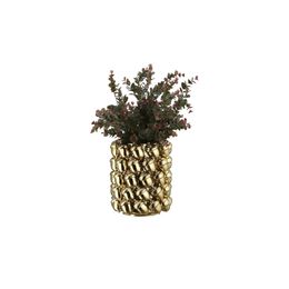 HOME STORY Vase 3D Eicheln gold Dolomite Ma&szlig;e (cm): H: 25 &Oslash;: 21.0 &raquo; M&ouml;bel Kraft