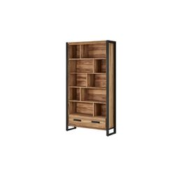 Gray & Jones Bücherregal Tierra Fuego One holzfarben Maße (cm): B: 110 H: 200 T: 35.0 » Möbel Kraft