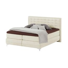 Musterring Boxspringbett Standardversion Dubai creme Ma&szlig;e (cm): B: 177 H: 124 &raquo; M&ouml;bel Kraft