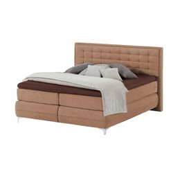 Musterring Boxspringbett Standardversion Dubai braun Ma&szlig;e (cm): B: 177 H: 124 &raquo; M&ouml;bel Kraft