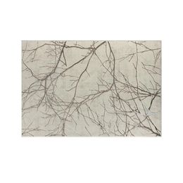 M&ouml;bel Kraft Webteppich creme Synthetische Fasern Ma&szlig;e (cm): B: 120 &raquo; M&ouml;bel Kraft