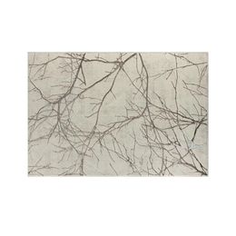 M&ouml;bel Kraft Webteppich creme Synthetische Fasern Ma&szlig;e (cm): B: 200 &raquo; M&ouml;bel Kraft