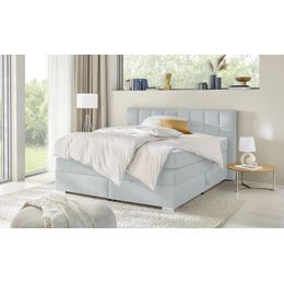 M&ouml;bel Kraft Boxspringbett grau Ma&szlig;e (cm): B: 202 H: 111 &raquo; M&ouml;bel Kraft
