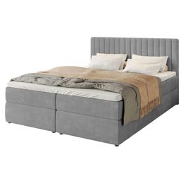 M&ouml;bel Kraft Boxbett mit Bettkasten und Topper grau Ma&szlig;e (cm): B: 160 H: 102 &raquo; M&ouml;bel Kraft