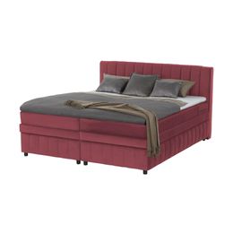 M&ouml;bel Kraft Boxbett mit Bettkasten rot Ma&szlig;e (cm): B: 166 H: 106 &raquo; M&ouml;bel Kraft