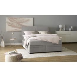 Boxi Boxspringbett mit Bettkasten Boxi Classic grau Ma&szlig;e (cm): B: 160 H: 125 &raquo; M&ouml;bel Kraft
