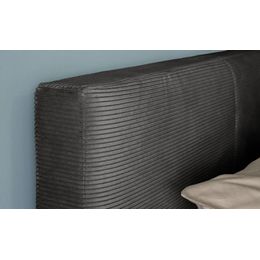 Boxi Boxspringbett mit Bettkasten Boxi Classic grau Ma&szlig;e (cm): B: 160 H: 125 &raquo; M&ouml;bel Kraft