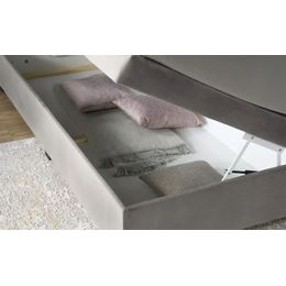 Boxi Boxspringbett mit Bettkasten Boxi Classic grau Ma&szlig;e (cm): B: 160 H: 125 &raquo; M&ouml;bel Kraft