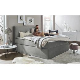 Boxi Boxspringbett 160 x 200 cm Boxi Classic grau Ma&szlig;e (cm): B: 160 H: 125 &raquo; M&ouml;bel Kraft