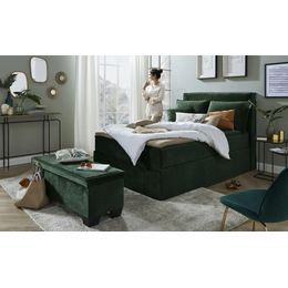 Boxi Boxspringbett 140 x 200 cm Boxi gr&uuml;n Ma&szlig;e (cm): B: 140 H: 125 &raquo; M&ouml;bel Kraft