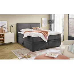 Boxi Boxspringbett mit Bettkasten grau Ma&szlig;e (cm): B: 160 H: 125 &raquo; M&ouml;bel Kraft