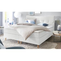 M&ouml;bel Kraft Boxspringbett grau Ma&szlig;e (cm): B: 197 H: 122 &raquo; M&ouml;bel Kraft