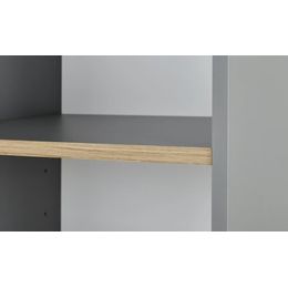 Paidi Standregal Sten grau Ma&szlig;e (cm): B: 48,2 H: 200 T: 39.3 &raquo; H&ouml;ffner