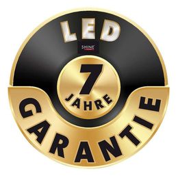 Fischer und Honsel FISCHER & HONSEL LED Pendelleuchte, 53421+27440,