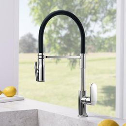 Fortis Lica flex Küchenarmatur mit 2 Strahlarten, schwenkbar, Silikon-Auslauf flexibel, 1855700PC,