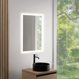 rivea Dia Einbau-Spiegelschrank B: 60 cm mit 2 T&uuml;ren, mit umlaufender Beleuchtung, BR0536MI+BN0476MI,