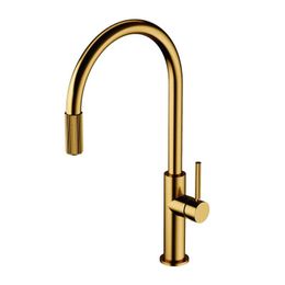 Omnires SWITCH K&uuml;chenarmatur mit Filtersystem, schwenkbar, SW9057-FD1GLB,
