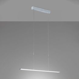 Fischer und Honsel FISCHER & HONSEL Metz LED Pendelleuchte mit CCT, 60995,