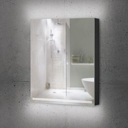 Schneider GRACE Spiegelschrank, 1 Tür, 116.461.02.41, GRL 60/1/TW/L
