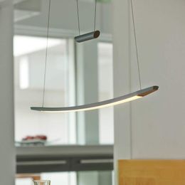OLIGO Plus LISGO SKY LED Pendelleuchte, T42-887-10-45,