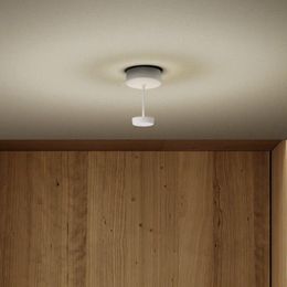 Ailati Lights by Zafferano Swap Deckenleuchte, LED, LD1012B3,