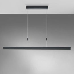 HELL DELTA Pendelleuchte, LED, 20505/1-06,