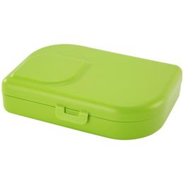 ajaa! Brotbox mit Trenner lime