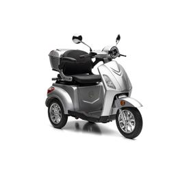 NOVA MOTORS Bendi silber 20 km/h 2 x 20Ah Akkupack, Gehstockhalter