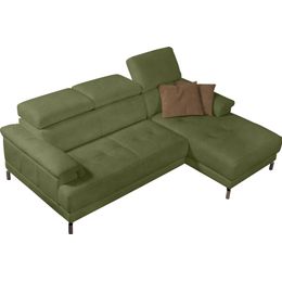 Ecksofa Egoitaliano, B:250cm H:99cm T:166cm, grün, Wohnzimmer, Sofas, "Soul, Design und Sitzkomfort auf hohem Niveau, tolle Details, L-Form", mit