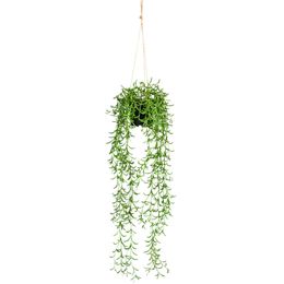 Kunstranke Creativ green, B:12cm H:70cm, grün, Kunststoff, Kunstpflanzen, "Nerifolia-Hänger", im Hängetopf aus Kunststoff