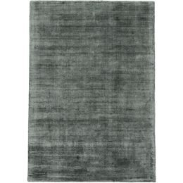 Teppich CarpetFine, B:120cm H:13mm L:170cm, gr&uuml;n, Viskose, Wohnzimmer, Teppiche, "Ava Viskoseteppich", Seidenoptik, leichter Glanz, auch als L&auml;ufer