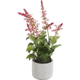 Kunstpflanze OTTO HOME, B:20cm H:45cm L:15cm, gr&uuml;n, Kunststoff, Badezimmer, Kunstpflanzen, "Avve", im Topf aus Zement