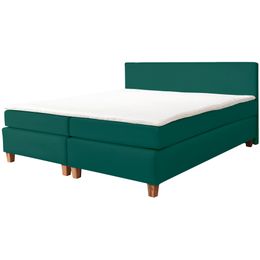 Boxspringbett Alina, B:161cm L:206cm, gr&uuml;n, Samt DMO (100% Polyester), Jugendzimmer, Komplettbetten, inklusive Matratze und Topper, in diversen