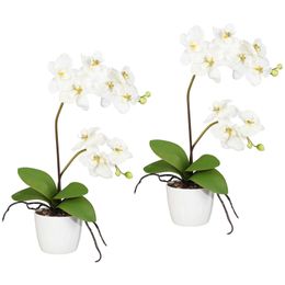 Kunstpflanze Creativ green, H:60cm, weiß, Kunststoff, Polyester, Badezimmer, Kunstpflanzen, "Orchidee Phalaenopsis", im Keramiktopf