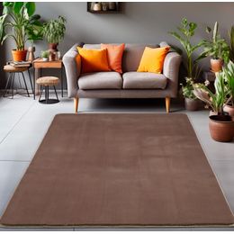 Teppich, B:120cm H:13mm L:170cm, beige, Ayyildiz Teppiche, Polyester, Wohnzimmer, Teppiche, "LUXY 5200", sehr weiche Oberfläche, pflegeleicht,